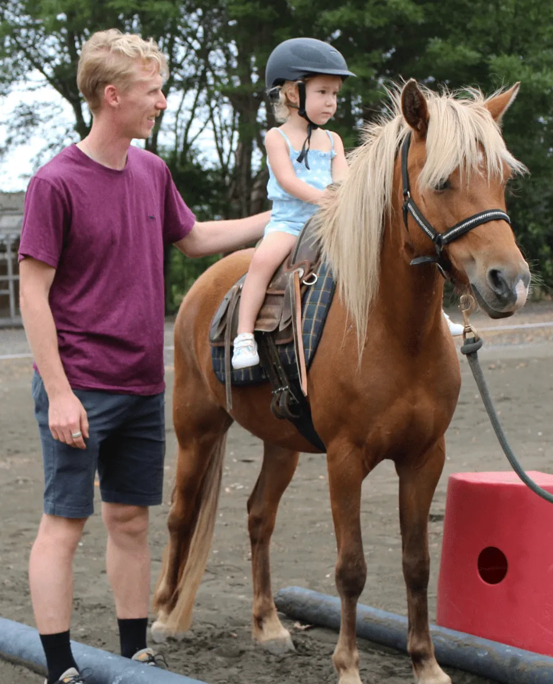 Pony rides, hand feed farm animals